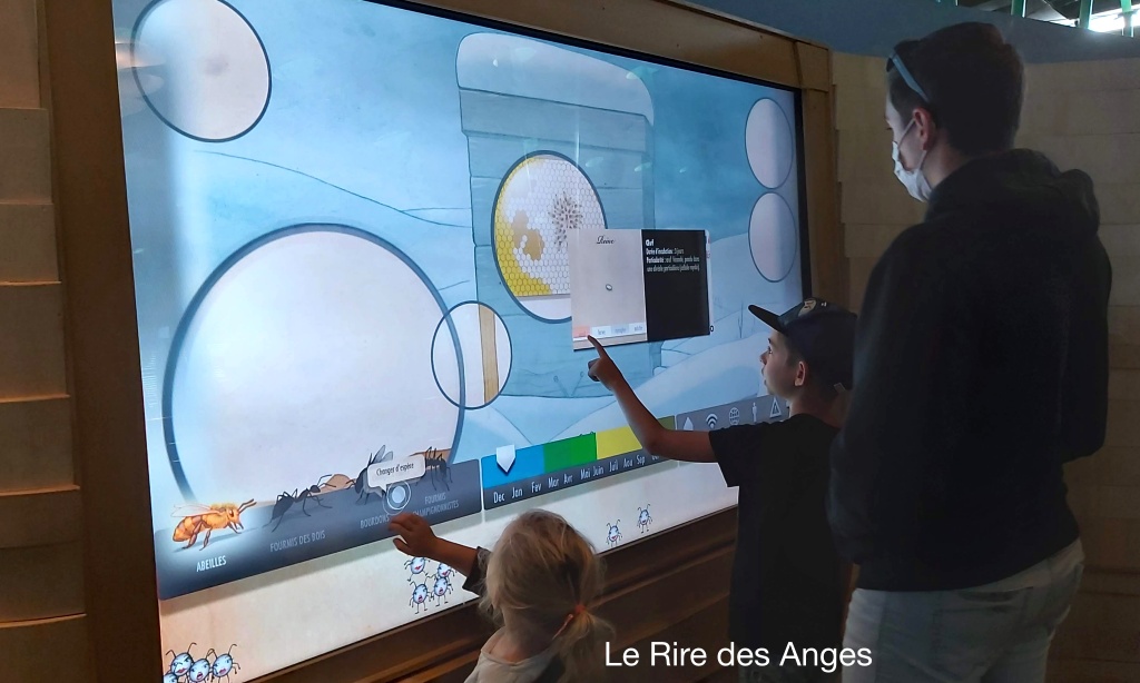 Micropolis la cité des insectes en Aveyron - Le Rire des Anges